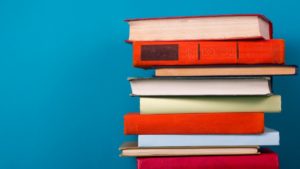 Glossary of Popular LEGO Terms – SEALUG